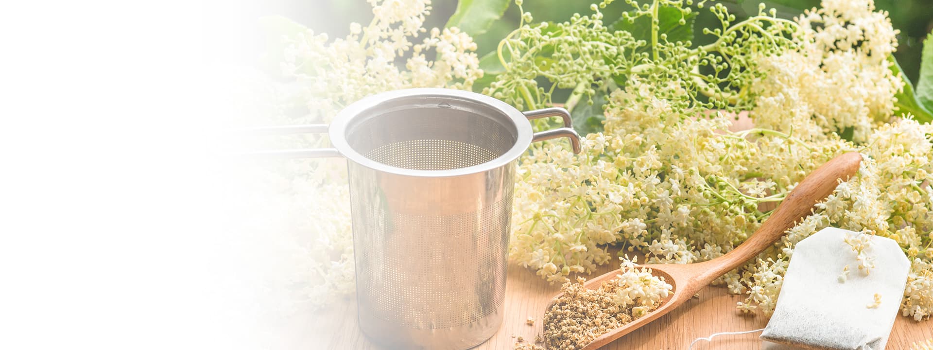 Pianta Organic - Bio Cajra Bio Organic Tea Kosova Prishtina